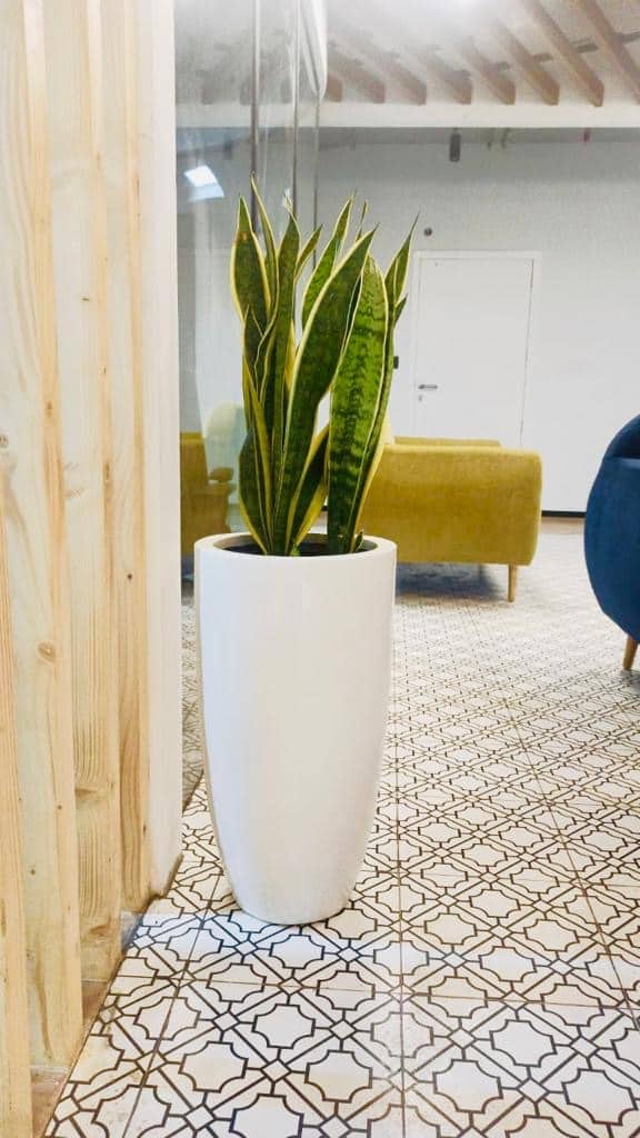 PREMIUM FRP PLANTERS