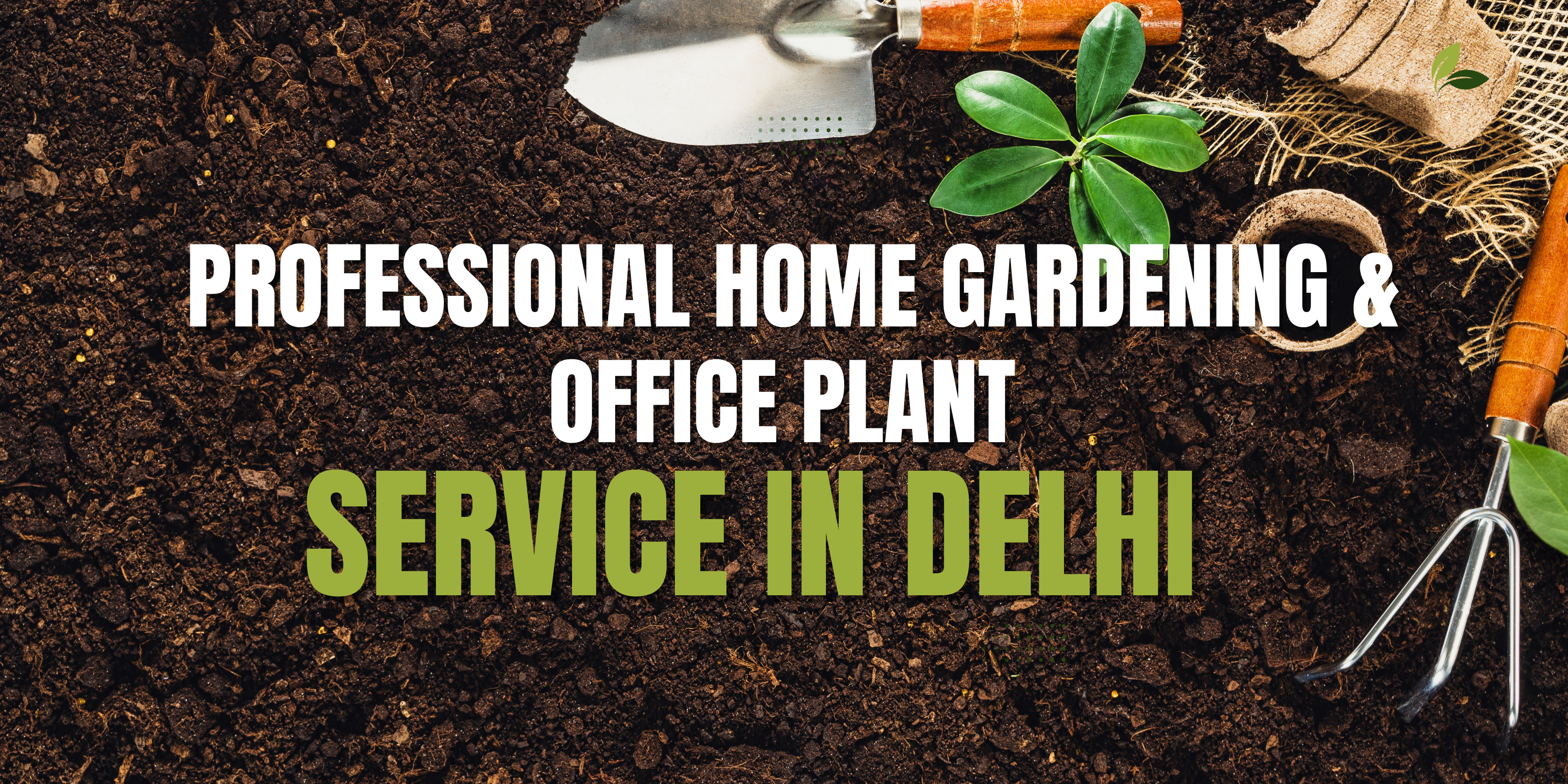 Best plant services in Delhi - Treemendous